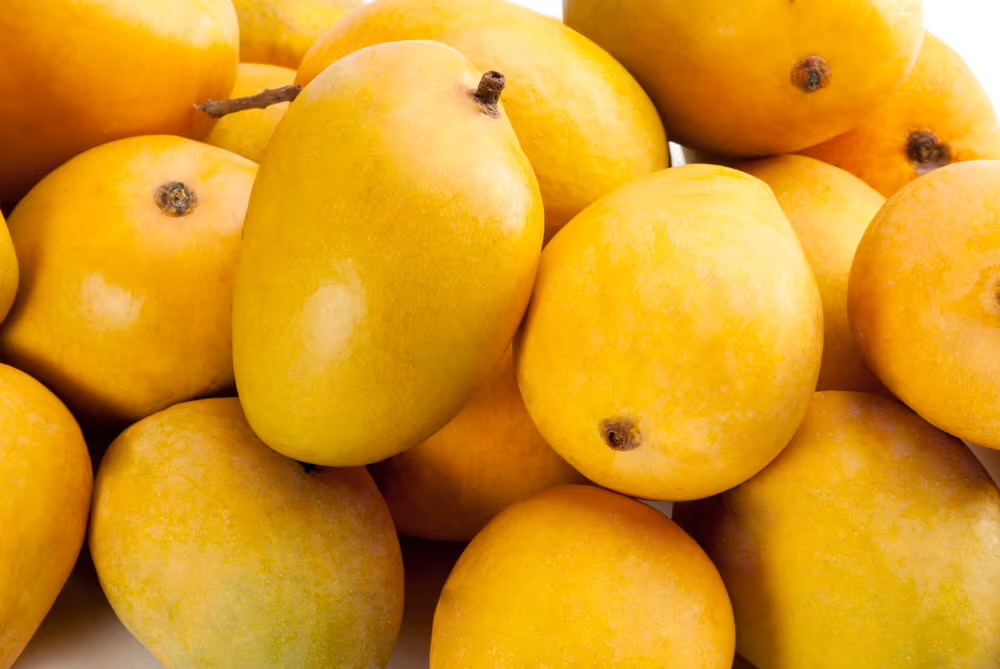 Indian Mango Delights – Indulge in the Exotic Taste of Indian Mangoes